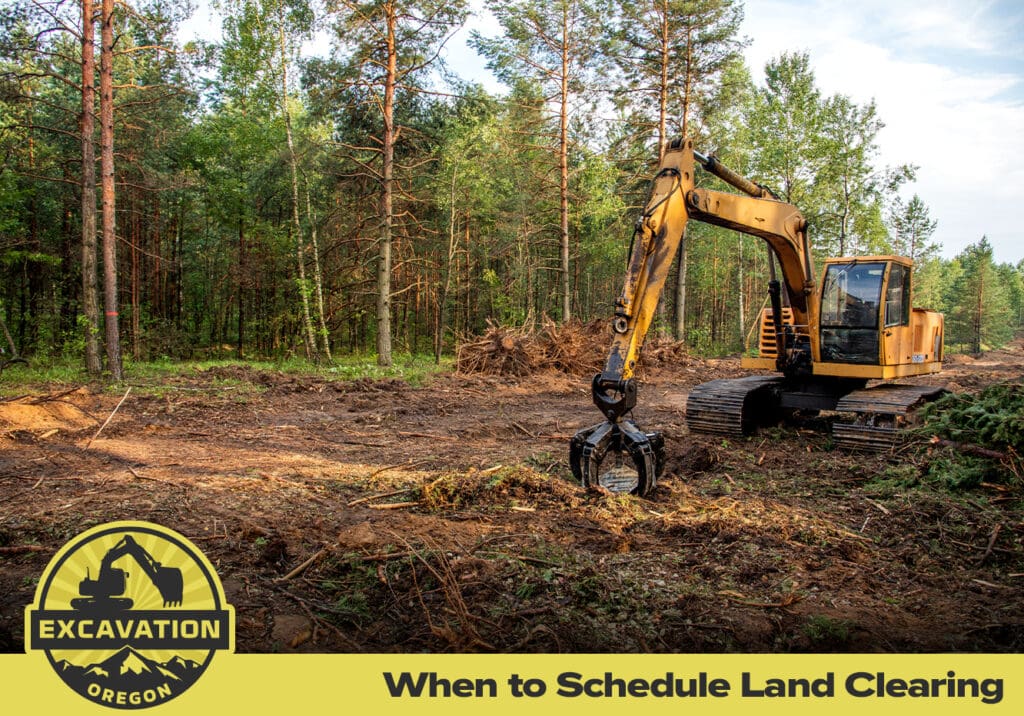 When to Schedule Land Clearing for Commercial Construction - Excavation ...